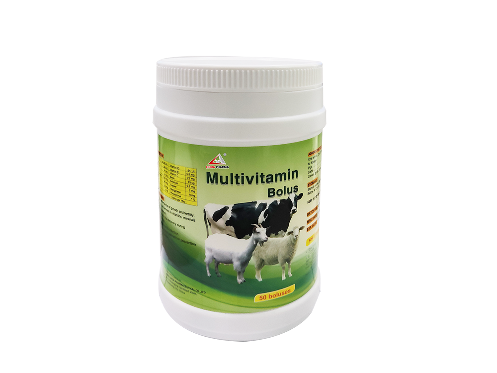 China Multivitamin Bolus factory and manufacturers | Lihua