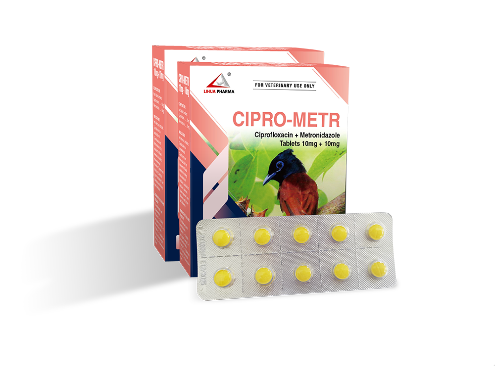 China Ciprofloxacin + Metronidazole Tablets 10mg + 10mg factory and ...