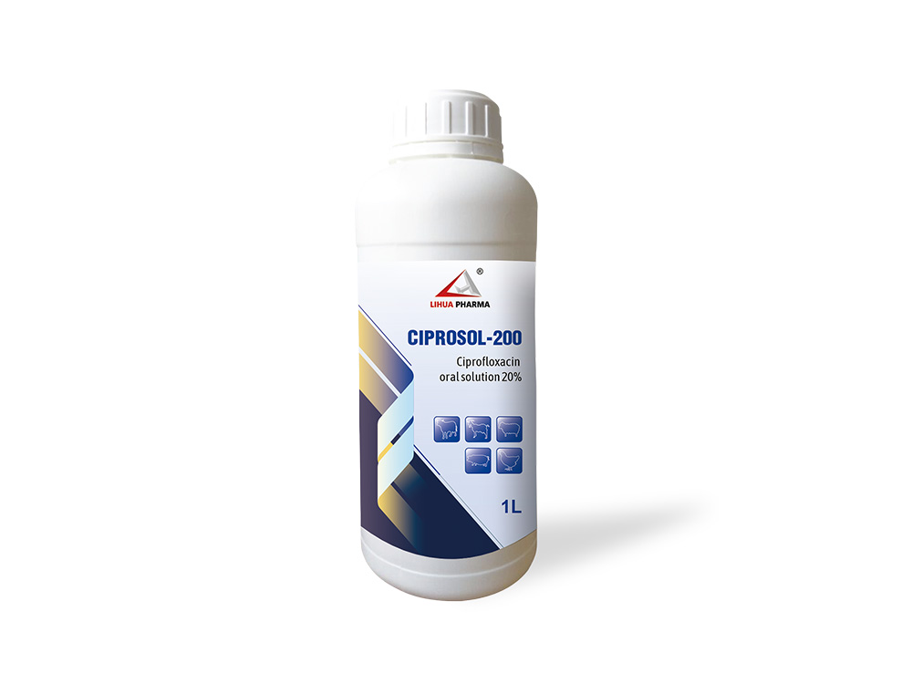 China Ciprofloxacin oral solution 20% factory and manufacturers | Lihua