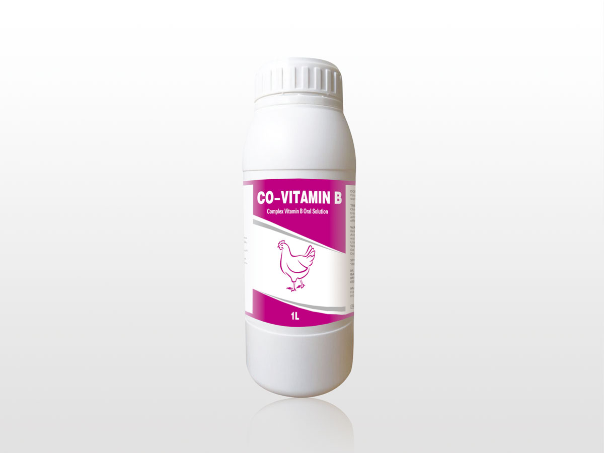 China OEM/ODM Manufacturer Levofloxacin And Bromhexine Oral Solution ...