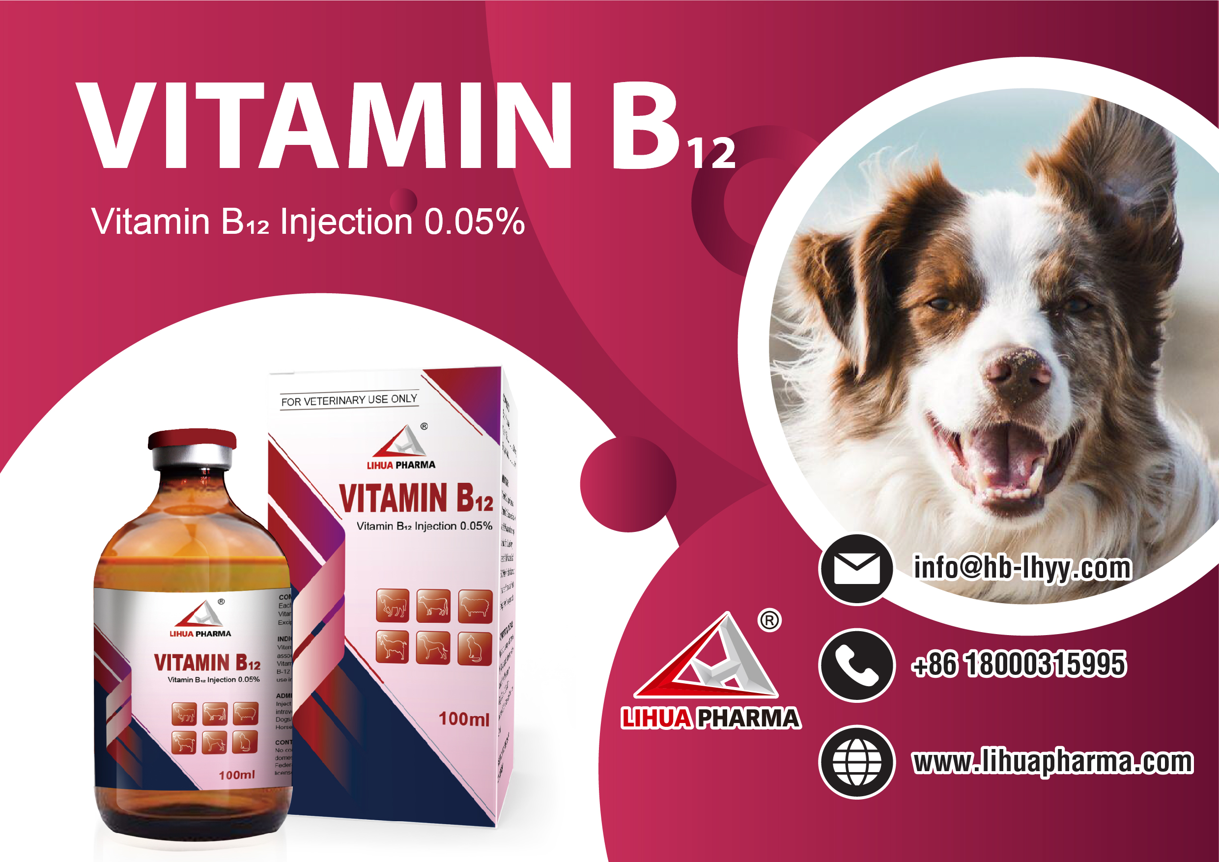 News - Vitamin B12 Injection 0.05%