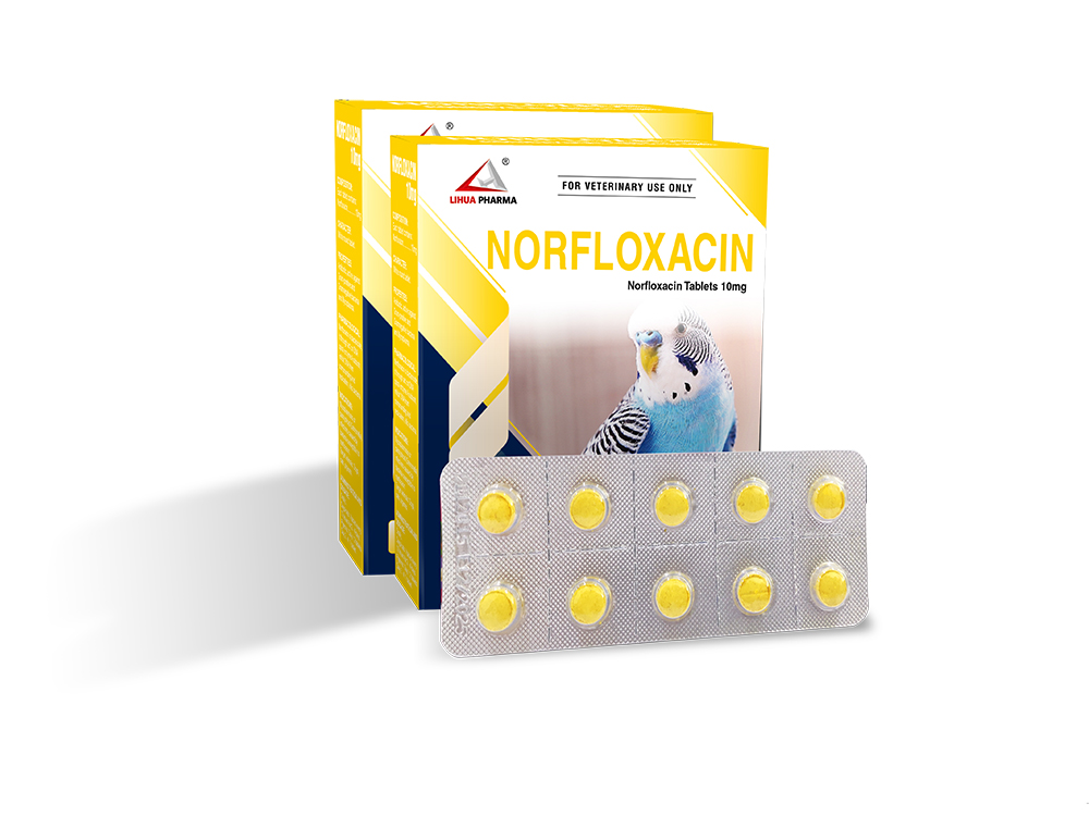 China Norfloxacin Tablets 10mg factory and manufacturers | Lihua